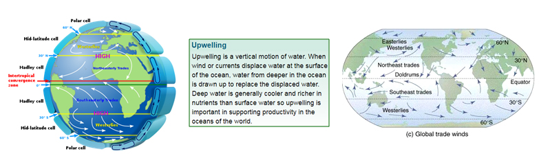 ALL ABOUT ENSO AND MJO UPSC