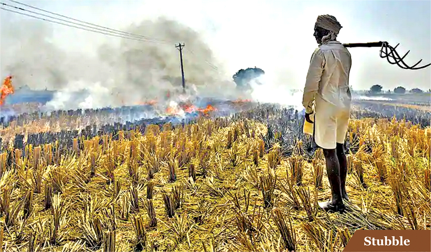 STUBBLE BURNING