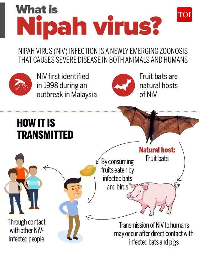 Nipah virus (NiV)