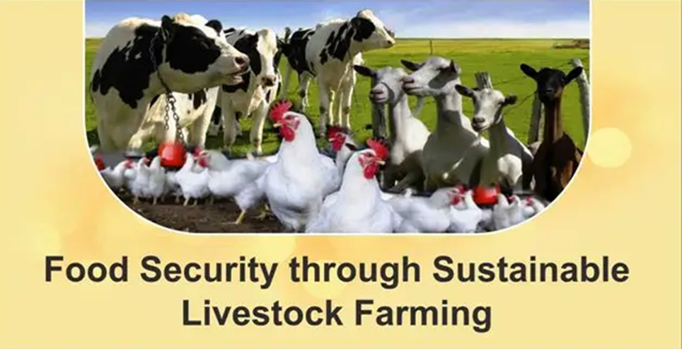 Union Minister has introduced 'A-HELP' program in Gujarat UPSC