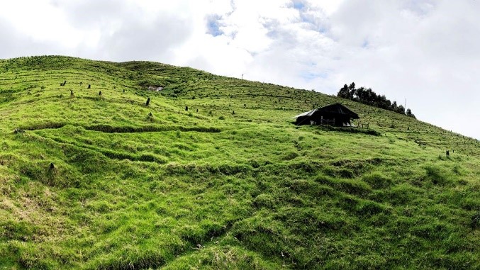 Anamudi Shola National Park