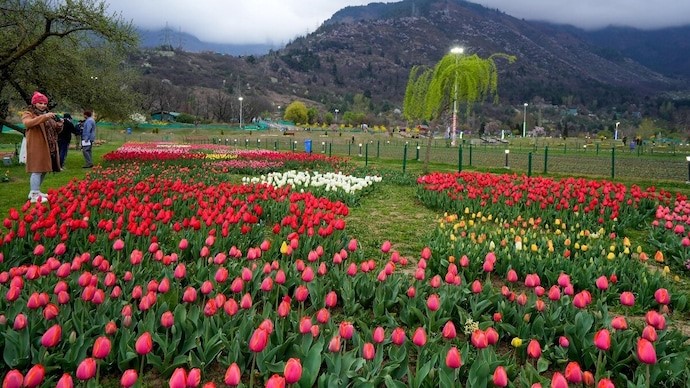 Indira Gandhi Memorial Tulip Garden in Srinagar UPSC.