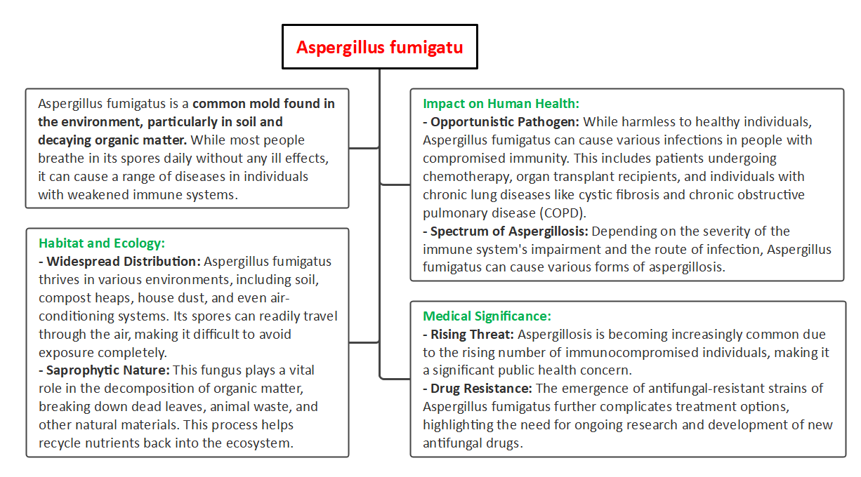 Goldman and Bayram uncovered aspergillosis fungus UPSC