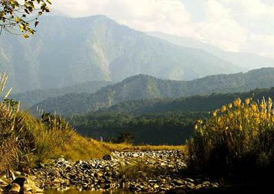 MANAS TIGER RESERVE | IAS GYAN