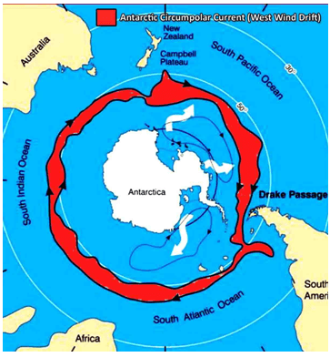 Antarctic Circumpolar Current