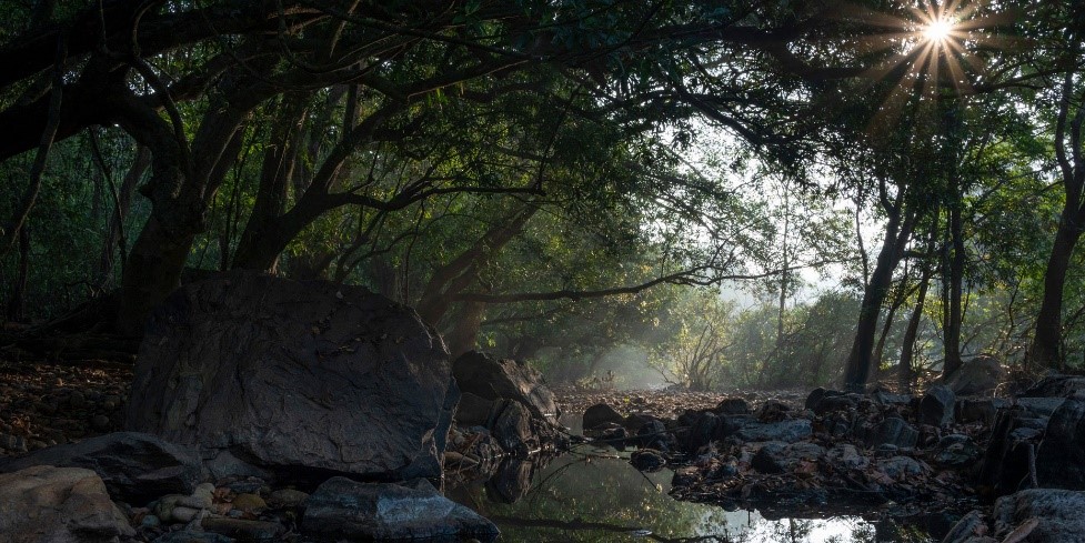 Aralam Wildlife Sanctuary