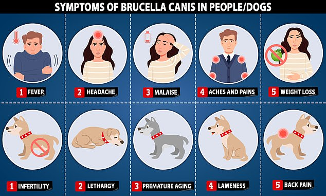 Emergence of Brucella canis in the UK UPSC