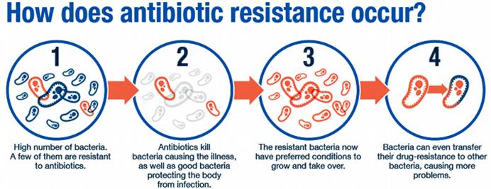Superbug Infections and AMR | IAS GYAN