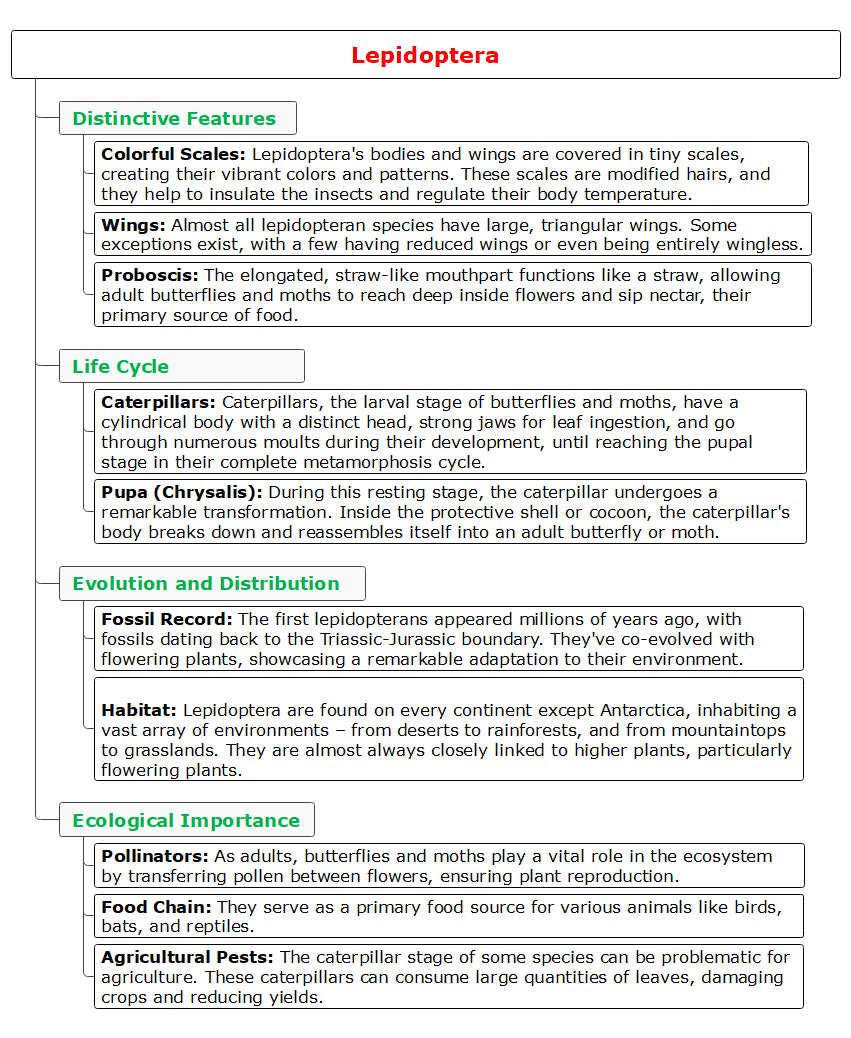 ZSI book on the Butterflies and Moths UPSC