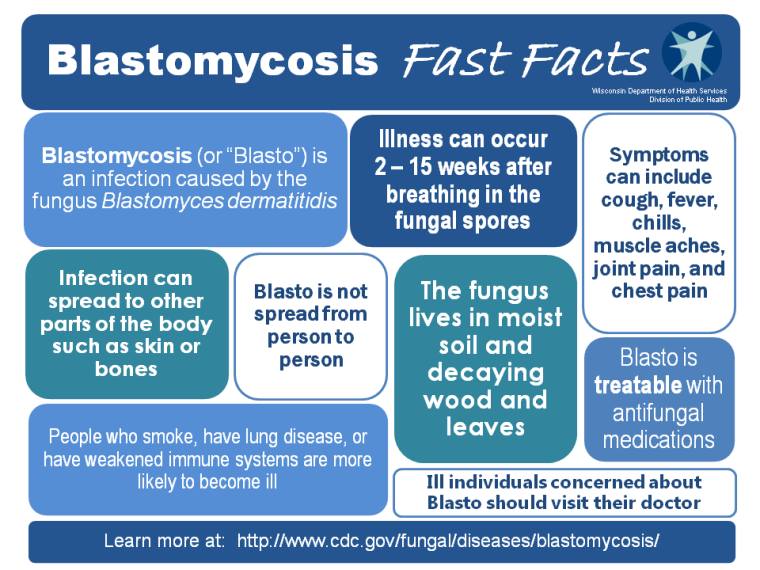 Blastomycosis - UPSC Current Affairs - IAS GYAN
