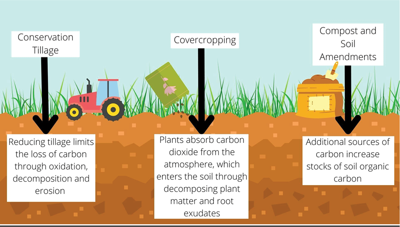 Regenerative agriculture for climate mitigation. UPSC