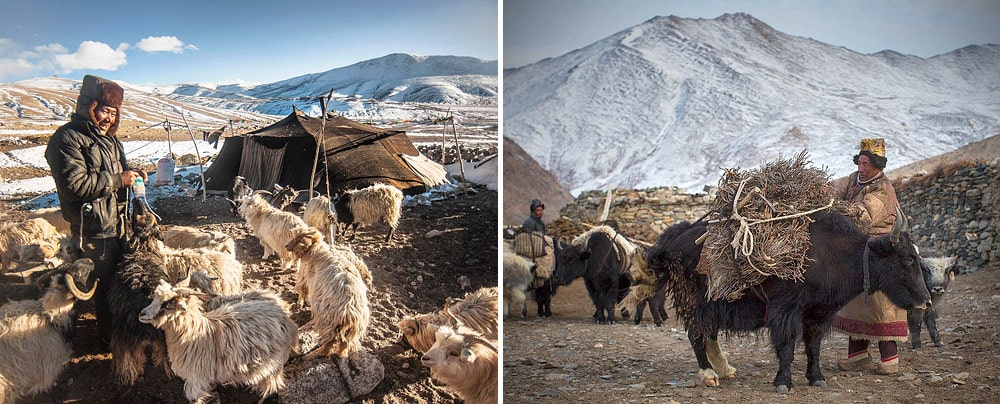 Sonam Wangchuk, Leh Apex Body halt march for Changpa UPSC