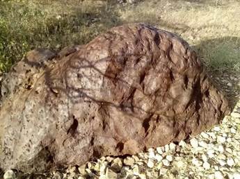 ELALIITE, AND ELKINSTANTONITEA | IAS GYAN