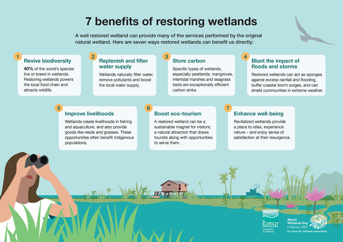 Constructed wetlands: Nature's solution for wastewater. UPSC