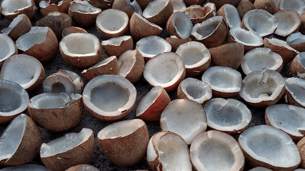 CCEA approves 2024 copra Minimum Support Prices UPSC