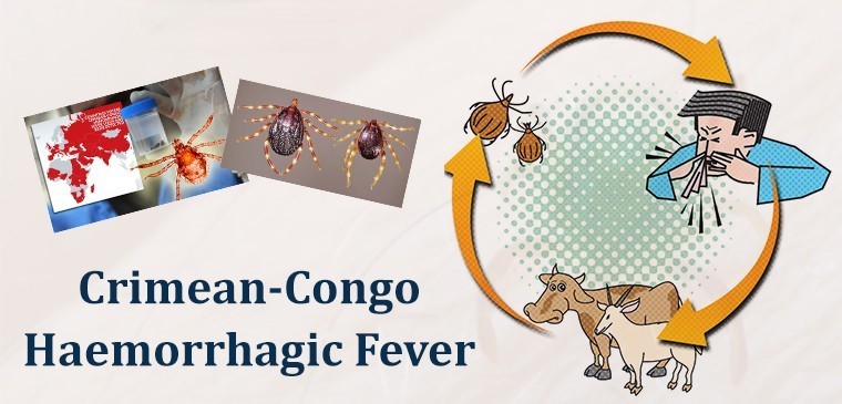 Crimean-Congo haemorrhagic fever (CCHF) spreading across Europe -IAS GYAN