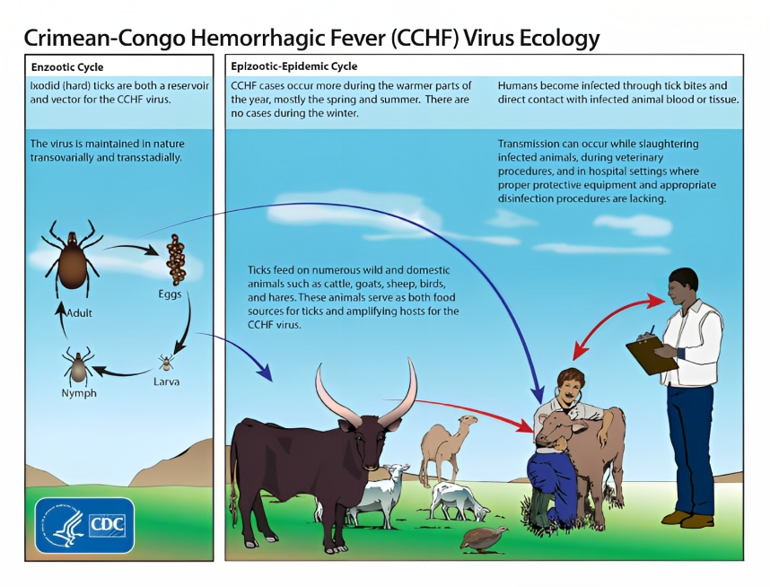 Crimean-Congo haemorrhagic fever (CCHF) spreading across Europe -IAS GYAN