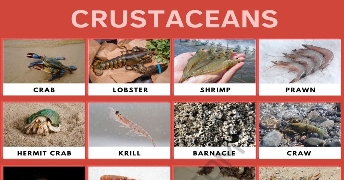 CRUSTACEANS