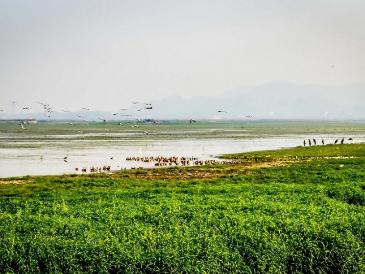Deepor Beel, Ramsar Site