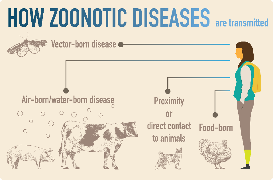 Diseases and Its Types: Comprehensive Overview for UPSC