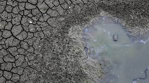 State of water bodies in india