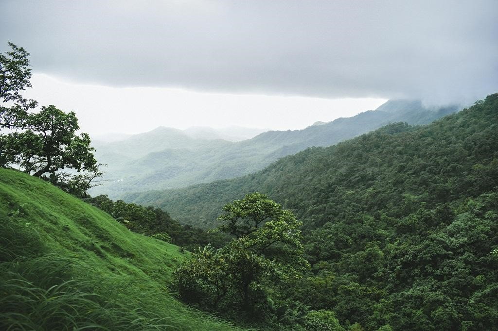 Diversity for Restoration (D4R) tool