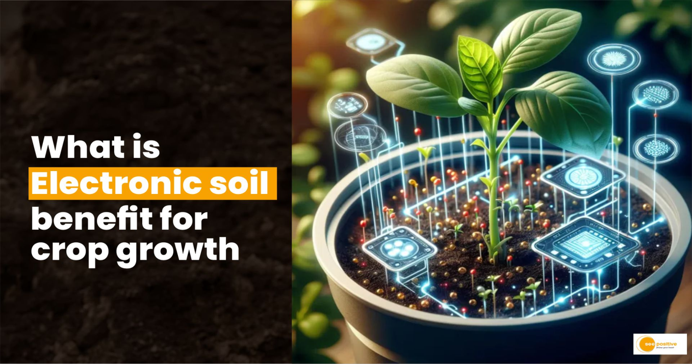 eSoil Innovation Boosts Crop Growth in Hydroponics UPSC