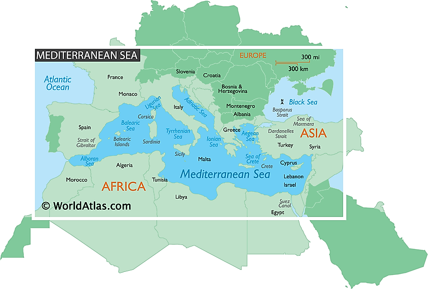 Impact of Rising Temperatures on Mediterranean Marine Ecosystems