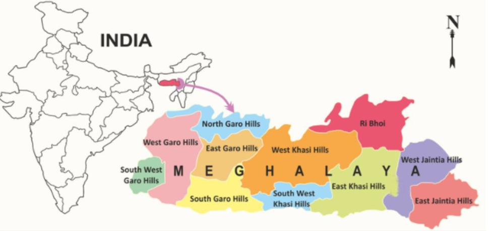 GSI discovers ancient fossils in Tolegre, Meghalaya. UPSC