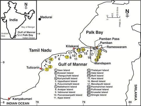 GULF OF MANNAR MARINE NATIONAL PARK - UPSC Current Affairs - IAS GYAN