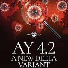 AY.4