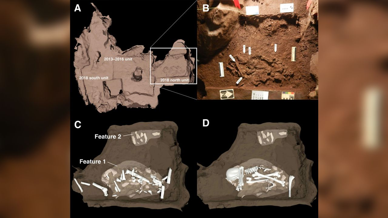 HOMO NALEDI -UPSC Current Affairs - IAS GYAN