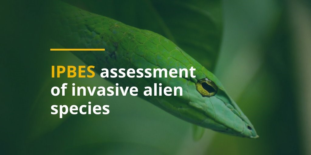 IPBES Assessment Report