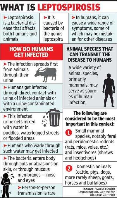 Leptospirosis -UPSC Current Affairs - IAS GYAN