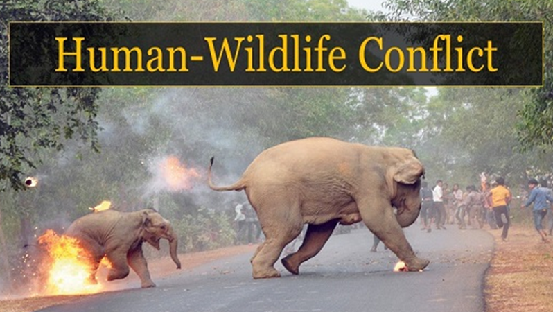 Kerala classified man-animal conflict as state disaster UPSC