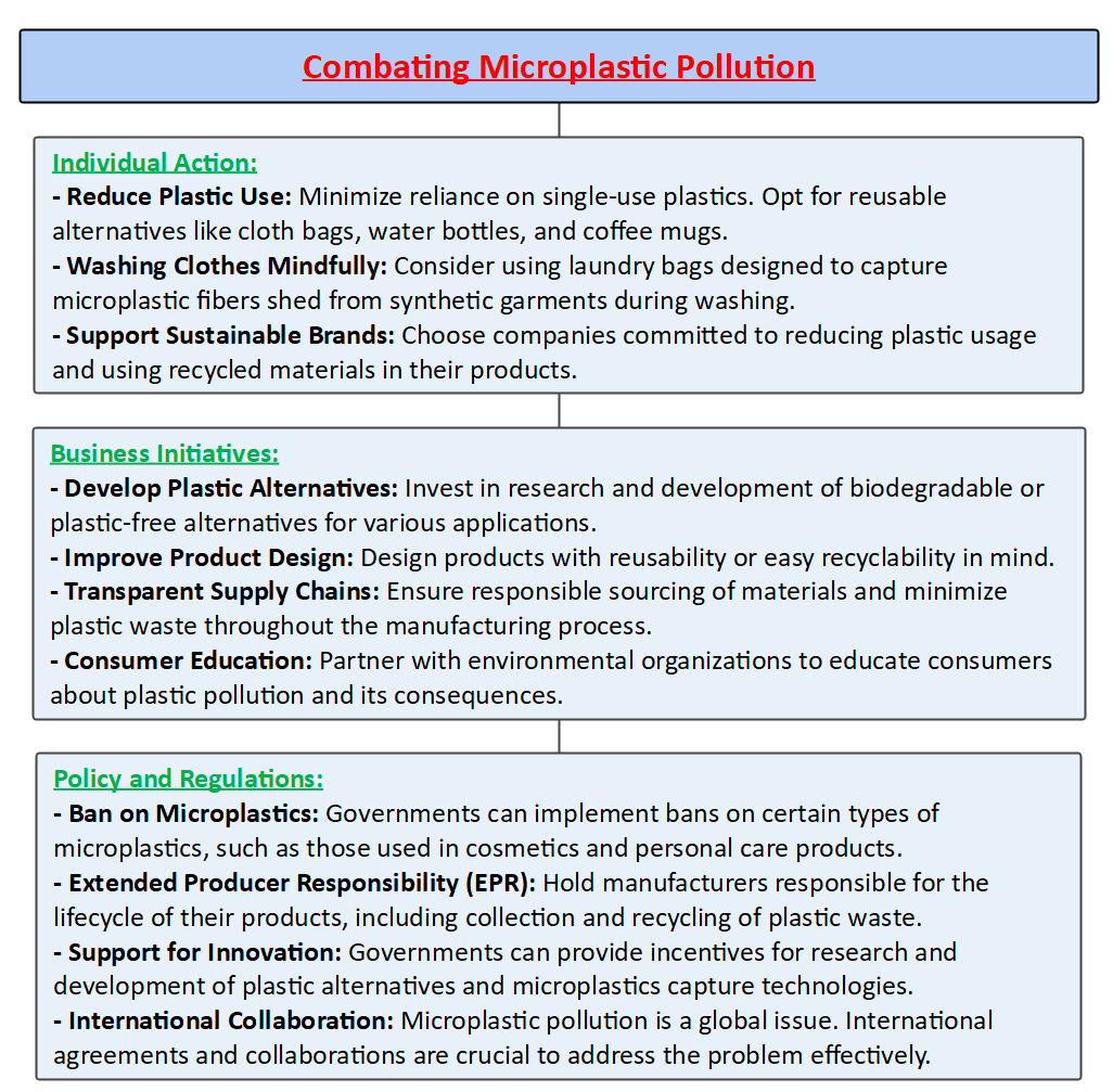 Discovery of Microplastics in Human Placenta UPSC