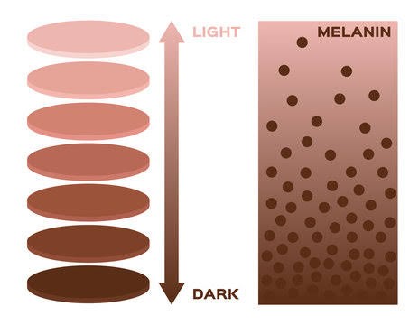 Melanin UPSC