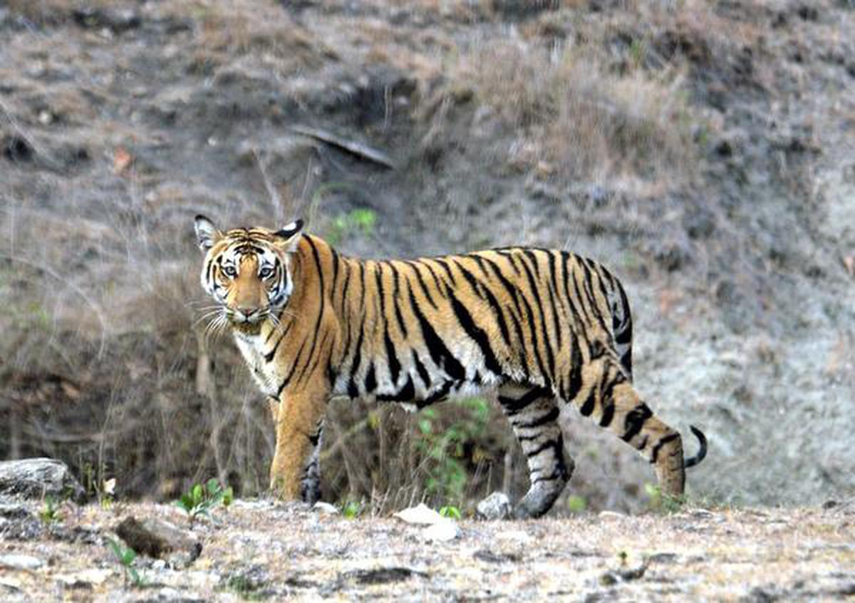 Environment Ministry reverses decision to establish integrated regional offices UPSC