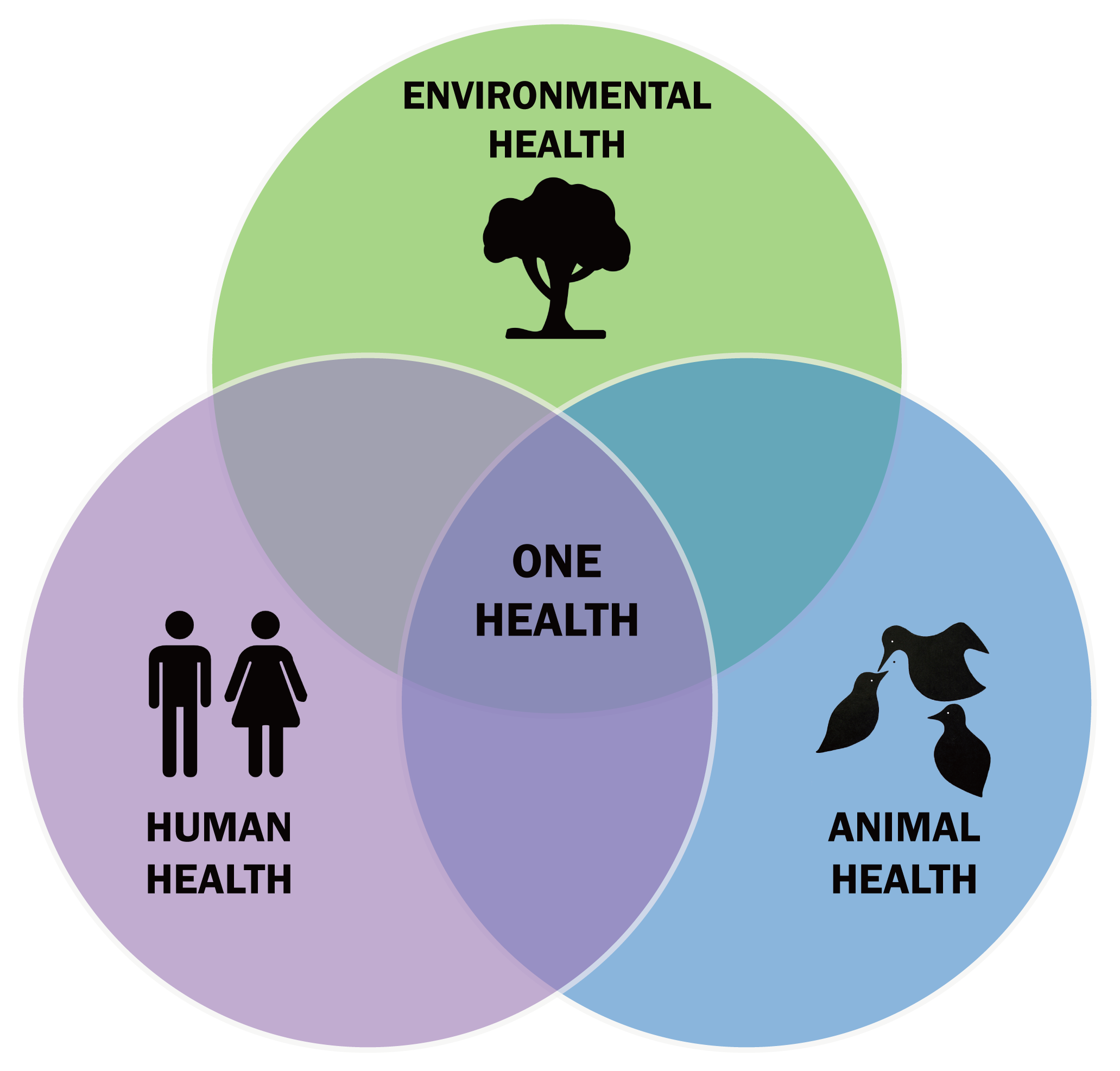 One Health UPSC, One Health Concept UPSC