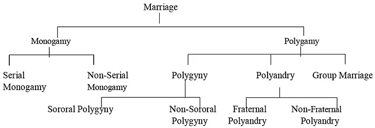 Polyandry Map
