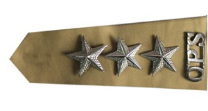 Police Ranks in India with Insignia , UPSC