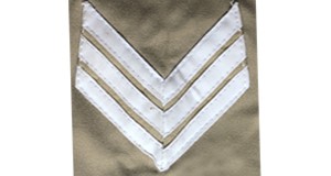 Police Ranks in India with Insignia , UPSC