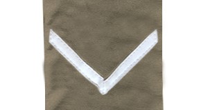 Police Ranks in India with Insignia , UPSC