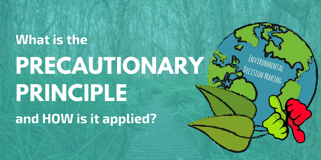 Precautionary Principle for Environmental Conservation | Central ...