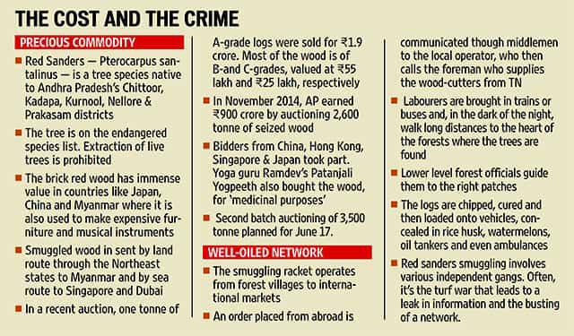 About Red Sanders | UPSC Current Affairs | IAS GYAN