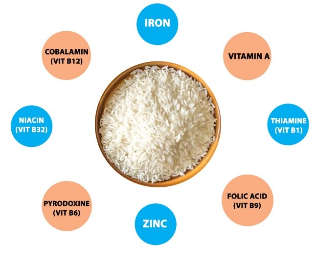 RICE FORTIFICATION -UPSC Current Affairs - IAS GYAN