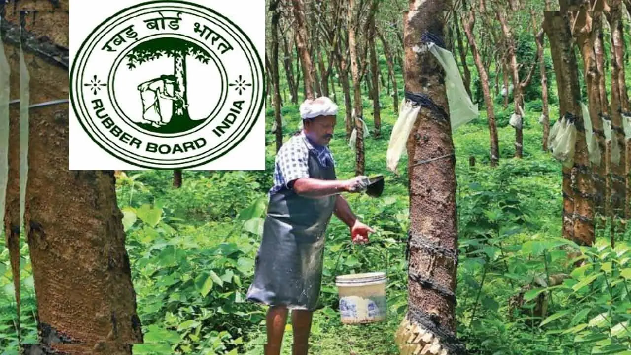 Centre to introduce reforms to facilitate rubber sector - IAS GYAN