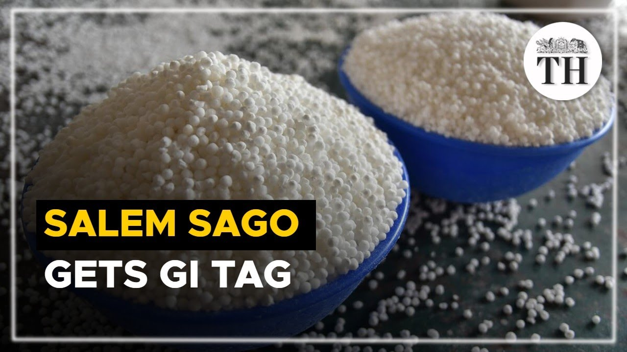 Salem Sago has been granted the Geographical indication (GI) tag UPSC