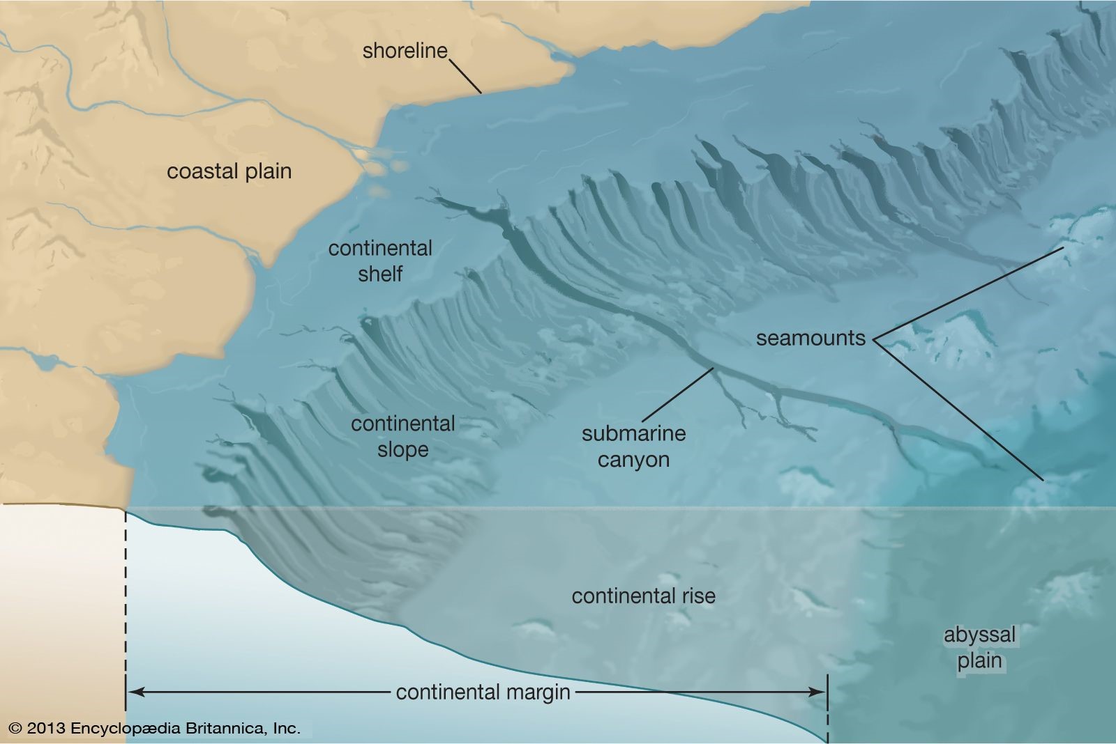 SEAMOUNTS -UPSC Current Affairs - IAS GYAN