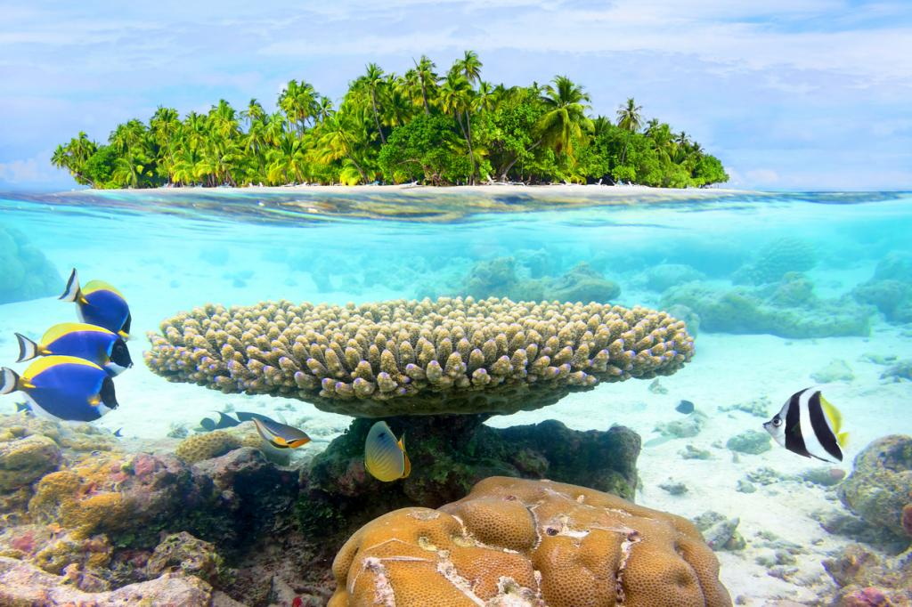 Indian Ocean Rim Association (IORA) UPSC